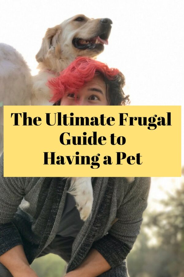 The Ultimate Frugal Guide to Having a Pet - The Budget Diet