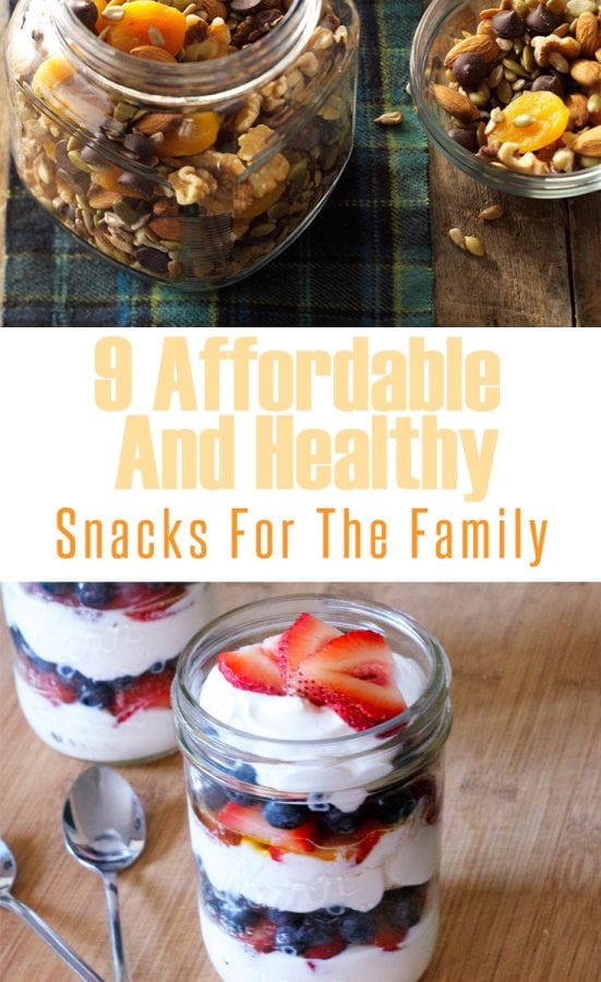 9 Affordable And Healthy Snacks For The Family - The Budget Diet