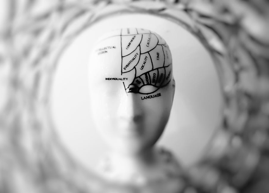 Fun Brain Games For Adults The Budget Diet