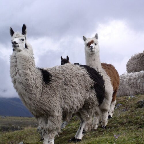 The 16 Highest Paying Survey Sites (Ultimate 2025 Guide!)